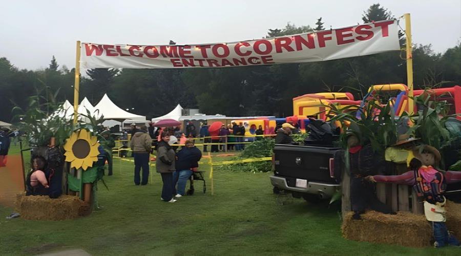 Chamber Platform- Shop Local